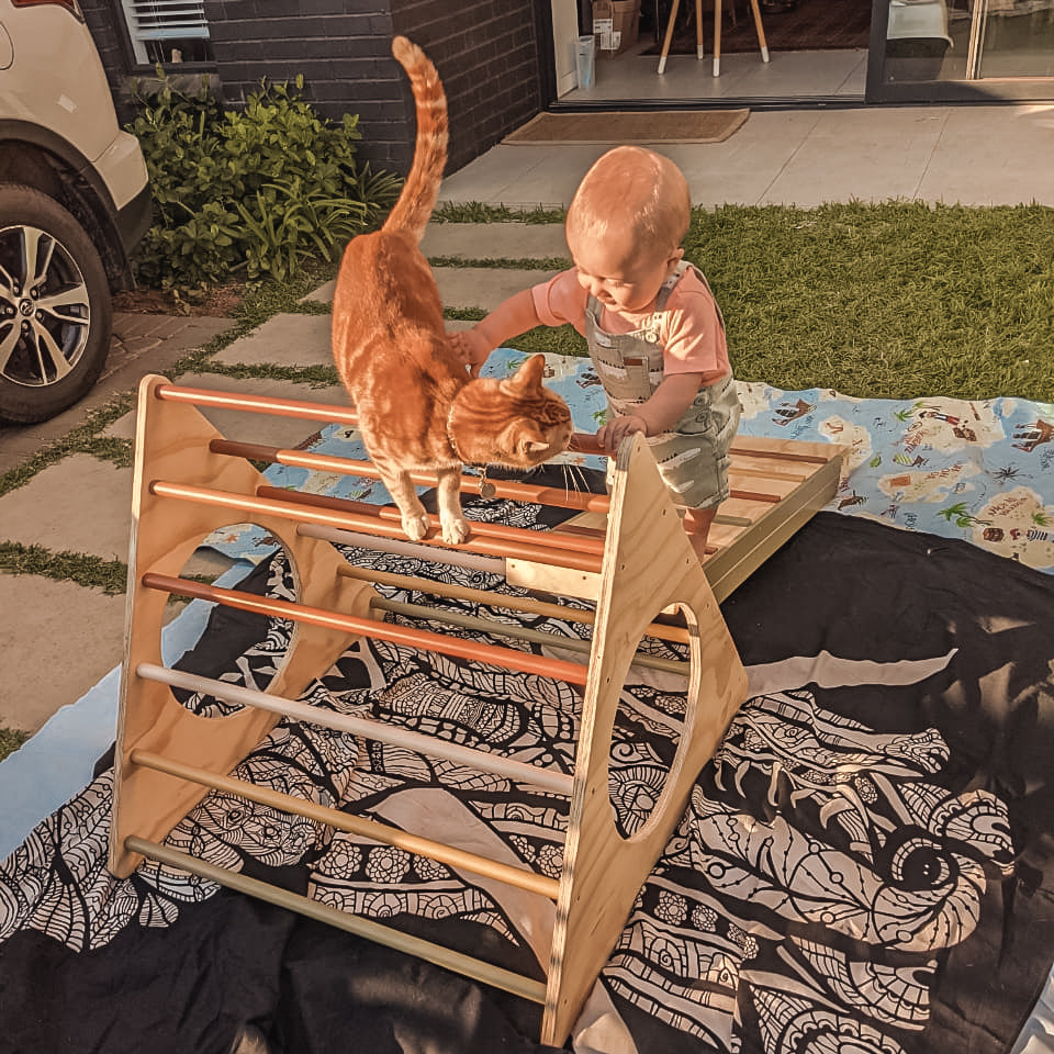 Pikler Triangle | Climbing Gym | Jungle Gym | Climbing Frame | Grandpa ...